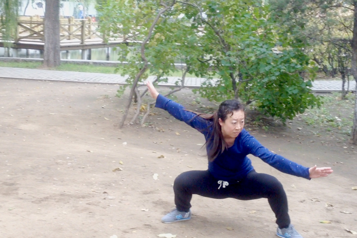 PiGua – Académie Annécienne de Kung Fu